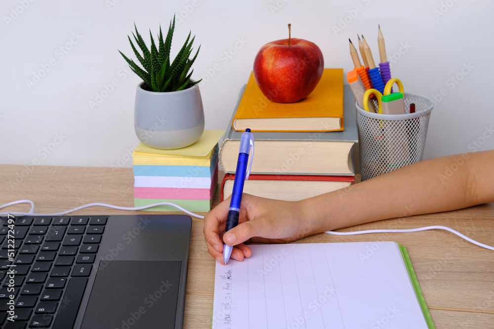 child, schoolboy, writes words, letter to friend in English in a ...