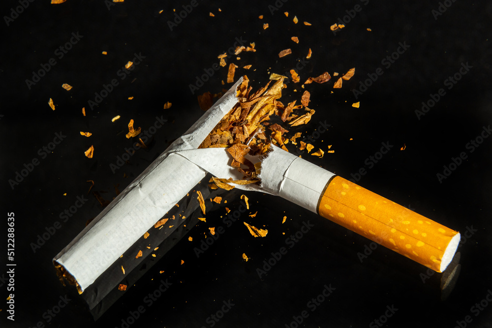 World No Tobacco Day, Broken cigarette isolated on black background. No ...