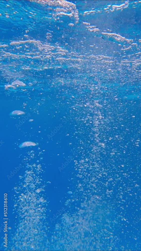 VERTICAL VIDEO: Slow motion of air bubbles floating to the water ...