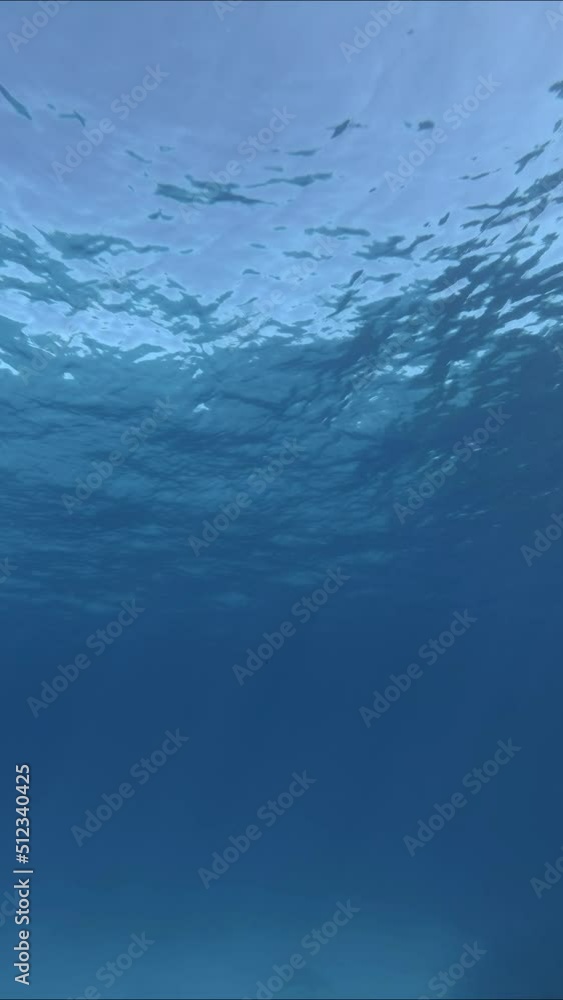 VERTICAL VIDEO: Underwater shot, surface of blue water with sun rays ...