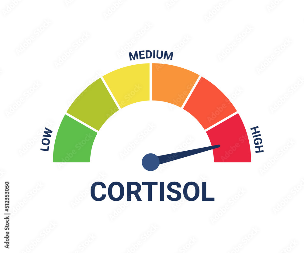 High cortisol hormone level on measuring scale, stress test. Control ...