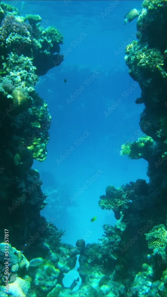 VERTICAL VIDEO: Sailing through a rift in a coral reef. Sun rays in ...