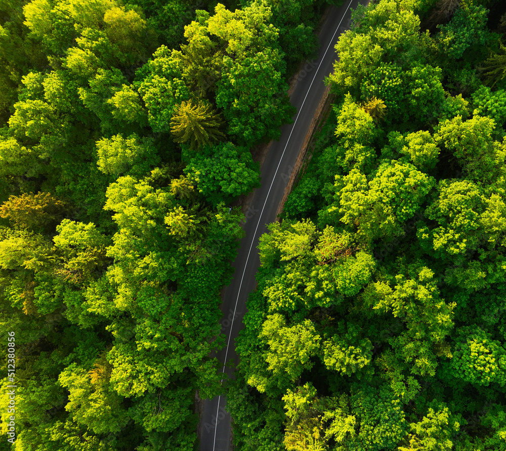 Foto de Highway in forest with pine trees, top view. Countryside Road ...