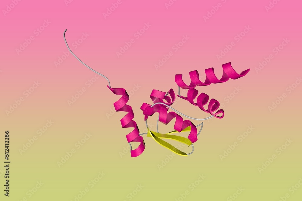 BTB domain from promyelocytic leukemia zinc finger protein. Ribbons ...