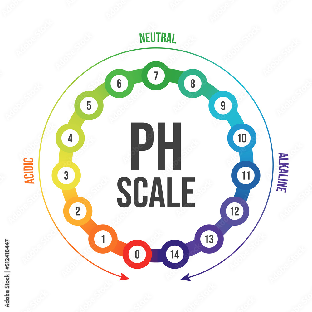 Vector illustration of pH scale isolated on white background. Color pH ...