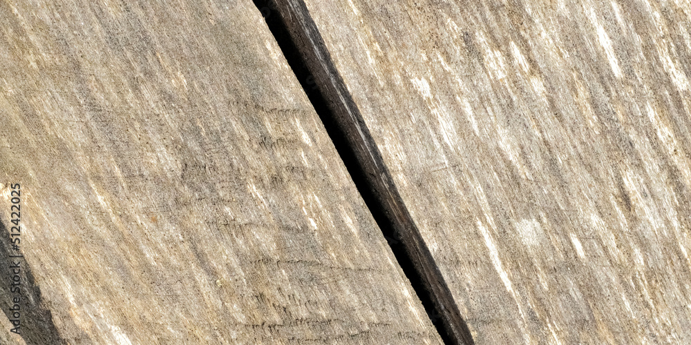 linden tree, texture background, old wood texture,light wood background ...