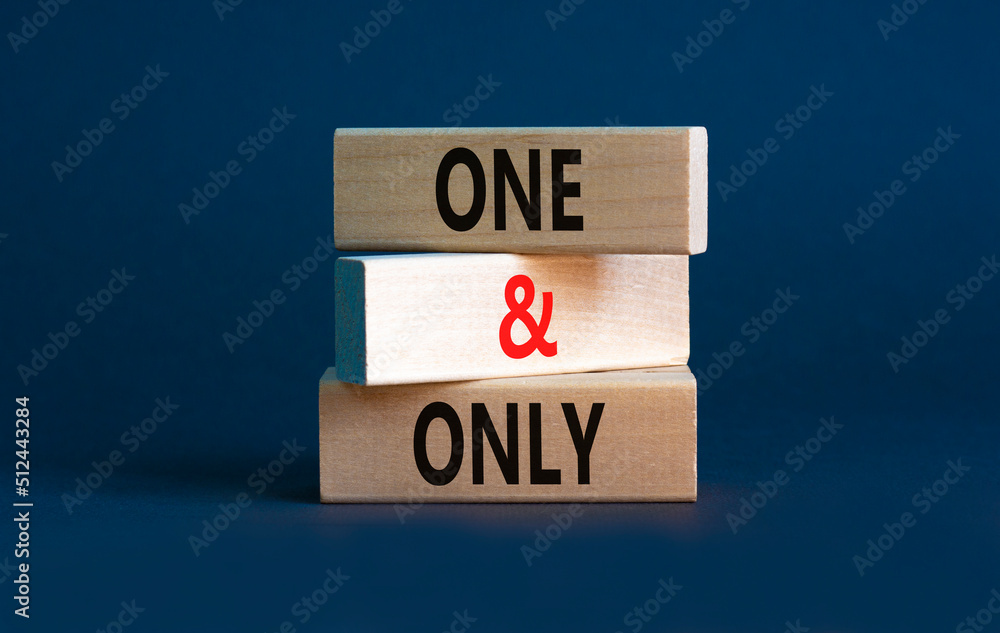 One and only symbol. Concept words One and only on wooden blocks on a ...