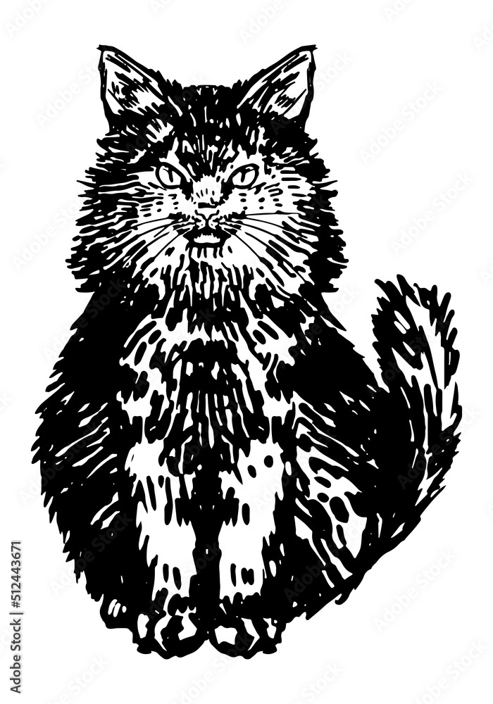 Animals Clipart Images Black And White Rooms