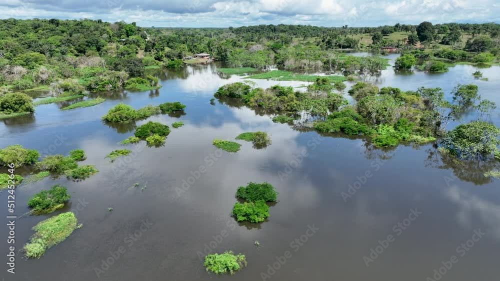 Nature aerial view of Amazon forest at Amazonas Brazil. Mangrove forest ...