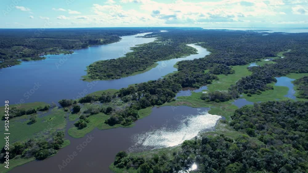 Amazon River at Amazon Forest. The famous tropical forest of world ...