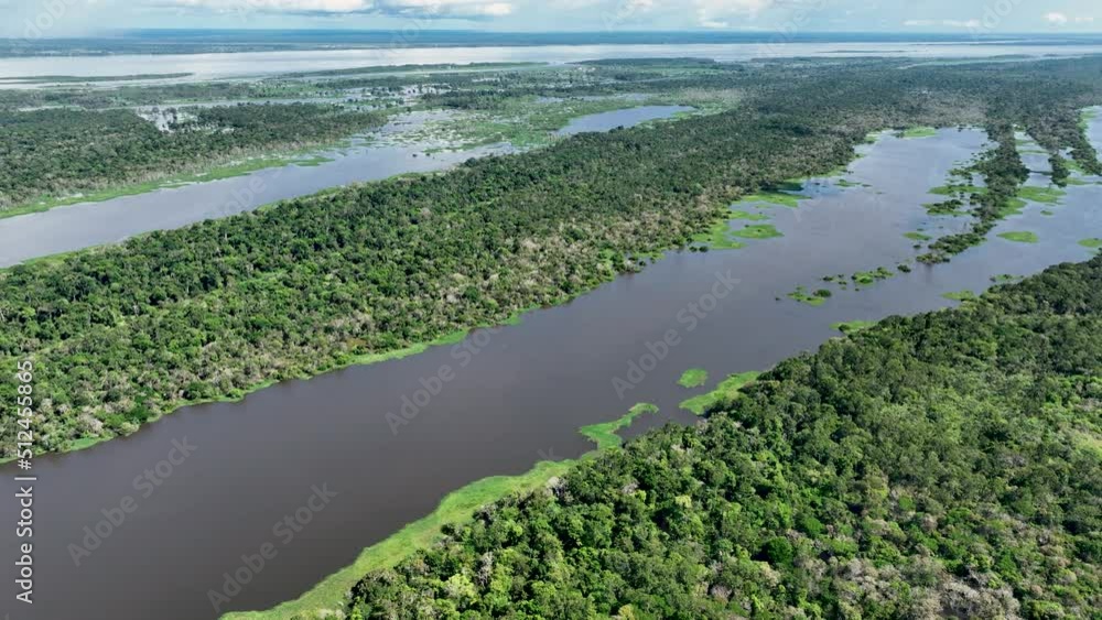Amazon River at Amazon Forest. The famous tropical forest of world ...