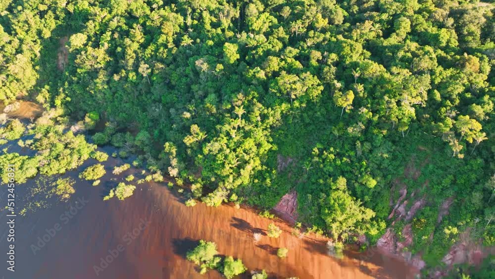 Nature aerial view of Amazon forest at Amazonas Brazil. Mangrove forest ...