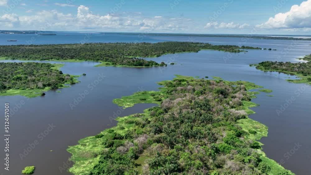 Nature tropical Amazon forest at Amazonas Brazil. Mangrove forest ...