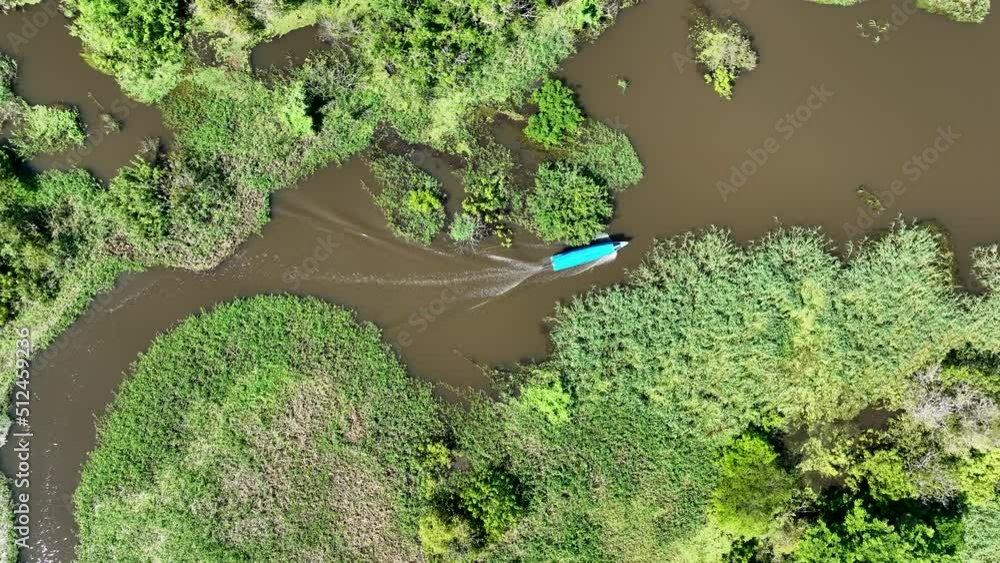 Boat sailing at Amazon river at Amazon forest at Amazonas state Brazil ...