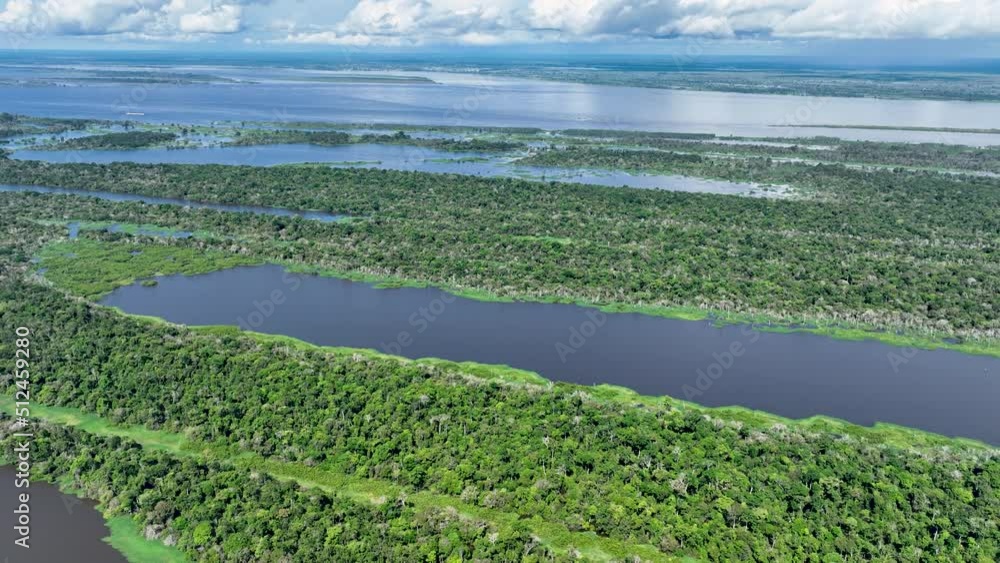 Amazon River at Amazon Forest. The famous tropical forest of world ...