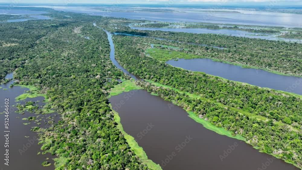 Amazon River at Amazon Rainforest. The biggest tropical rainforest of ...