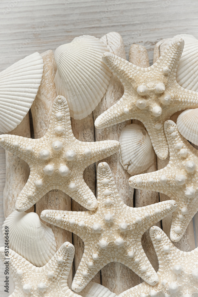 nautical decor.Marine wallpaper.Starfish and sea shells in pastel beige ...