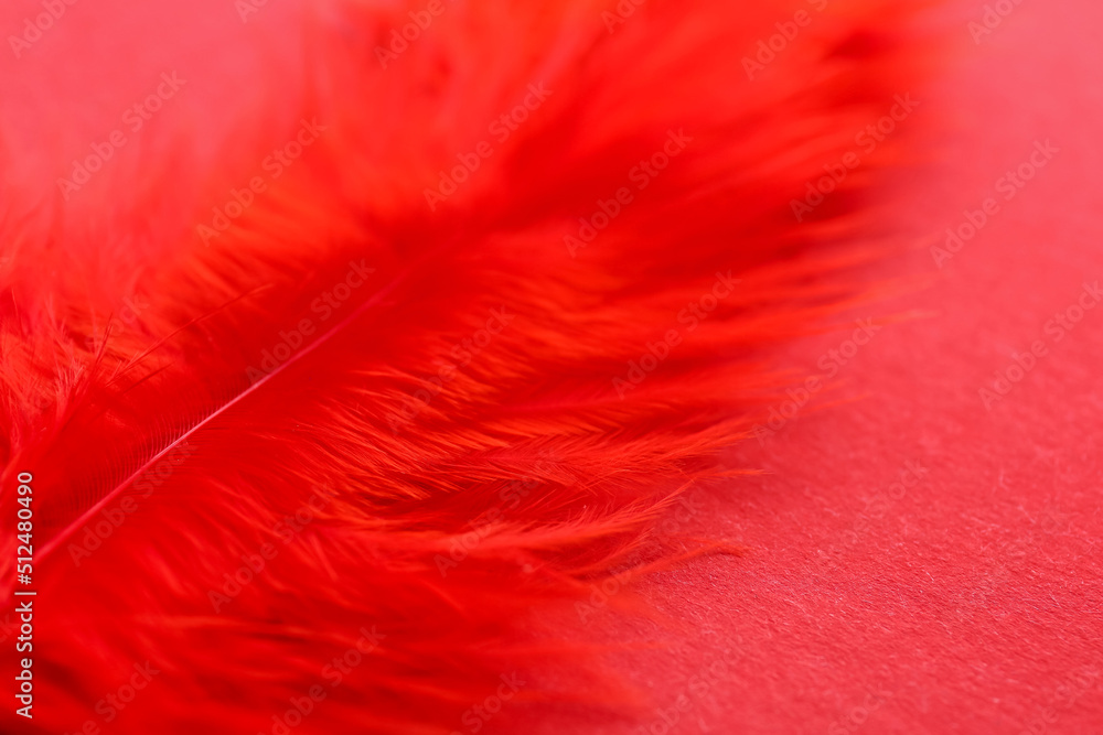 Beautiful red feather on color background Stock Photo | Adobe Stock