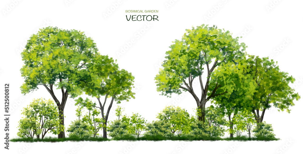 Poster Vector watercolor tree or forest side view isolated on white ...