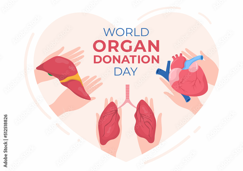 World Organ Donation Day with Kidneys, Heart, Lungs, Eyes or Liver for ...