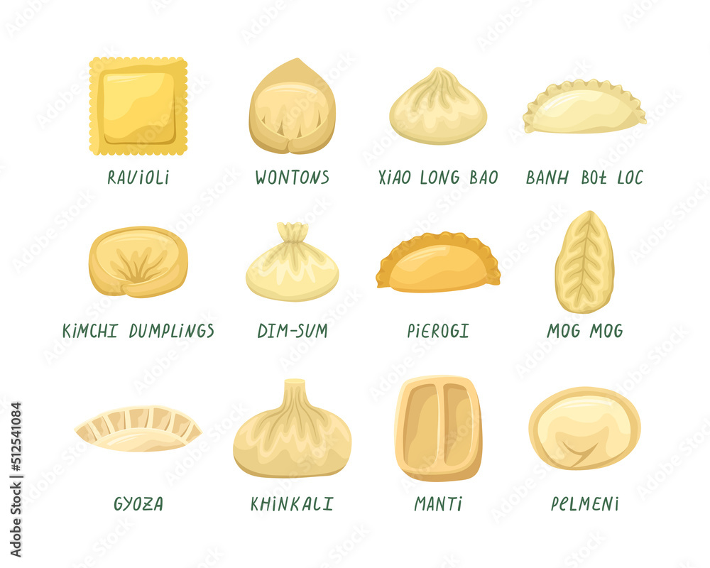 Vector set of illustrations of dumplings from different countries of ...