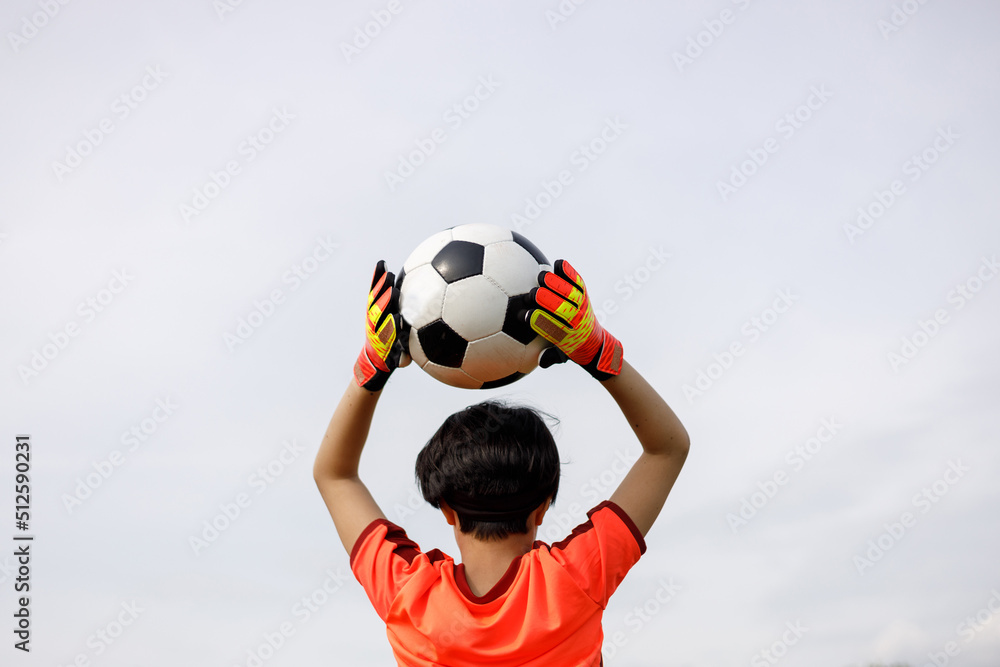 Backside of football player ready to throw a ball Stock Photo | Adobe Stock