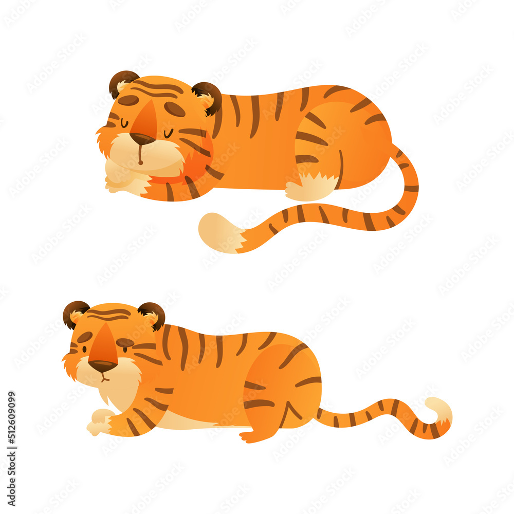 Cute tigers set. Wild jungle predator animal cartoon vector ...