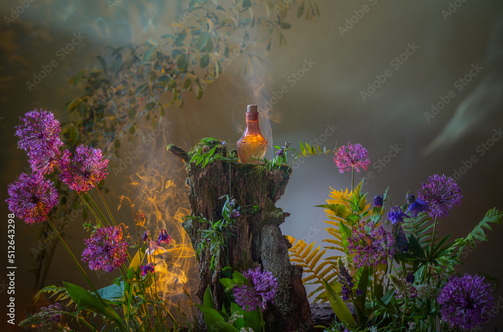 Poster bottle of magic potions in magical forest – Wall Art | UkPosters