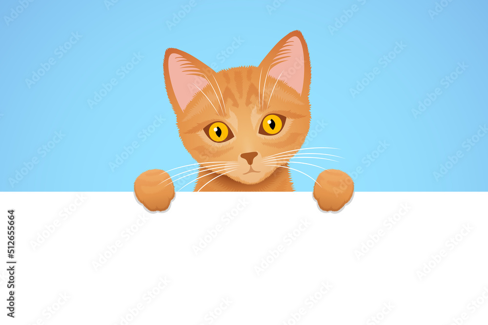 Vetor de Funny cartoon cat is peeking out from behind white blank board ...