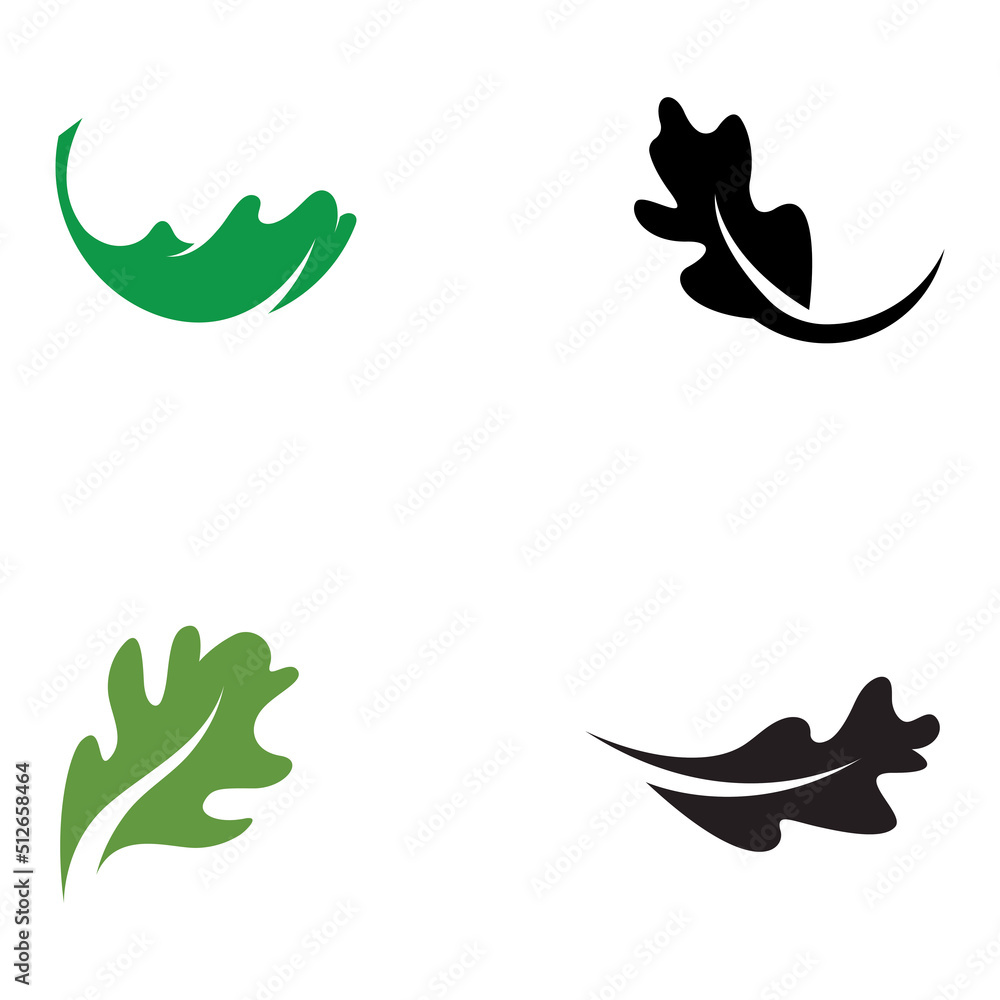 Autumn oak leaf logo and oak tree logo. With easy and simple editing of ...