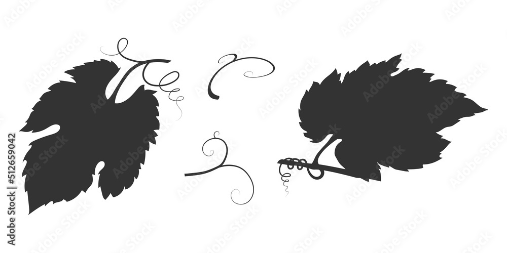 Vine leaf silhouette with vine. Vector illustration of shadow fruit ...