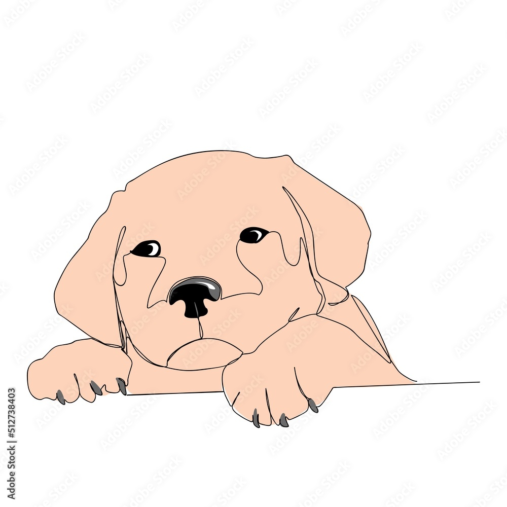 Vector image of an dog labrador on white background. One line drawing ...