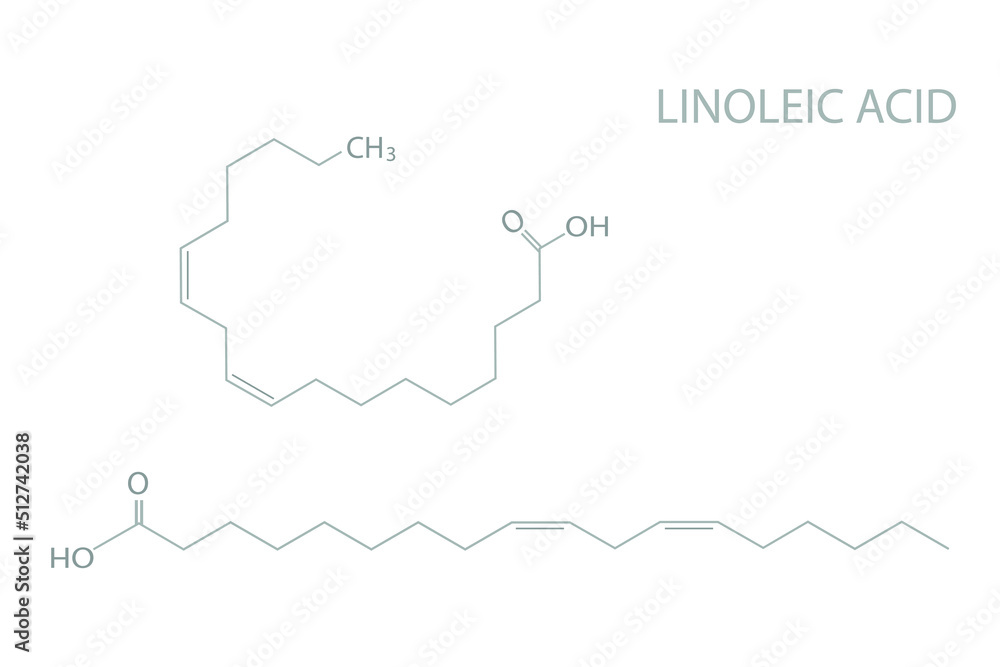 Linoleic acid molecular skeletal chemical formula. Stock Vector | Adobe ...