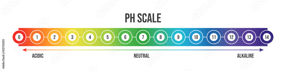 Vector illustration of pH scale isolated on white background. Color pH ...