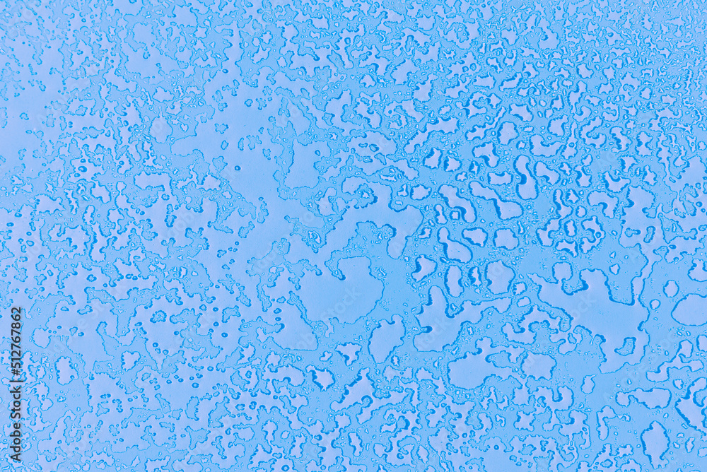 Water drops condensate on veri peri background texture on transparent ...