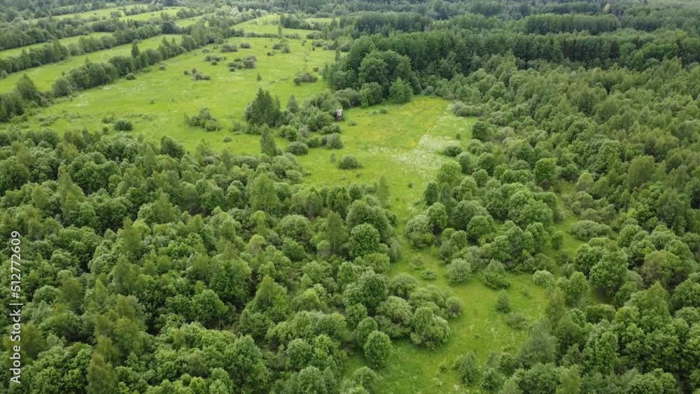 top drone aerial view of deep forest at sunset. hd footage. Drone fly ...