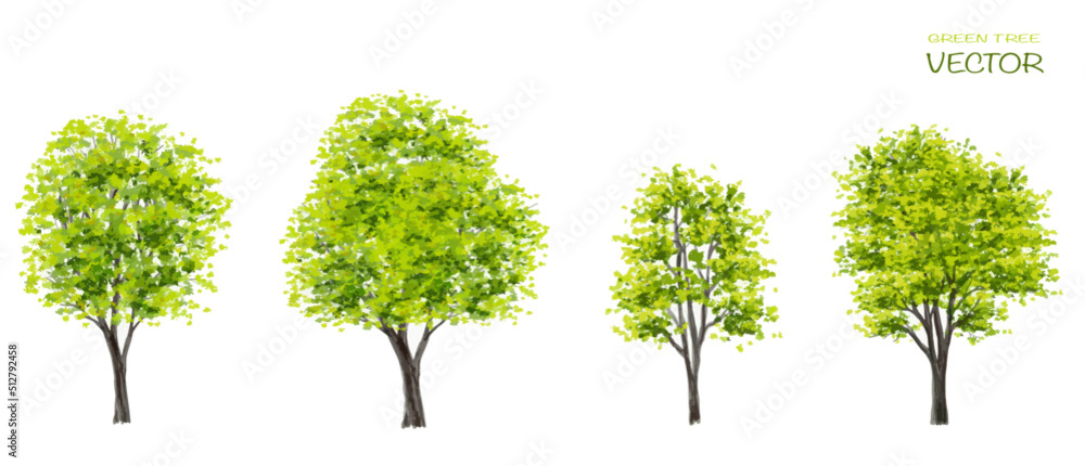 Vecteur Stock Vector watercolor tree or forest side view isolated on ...