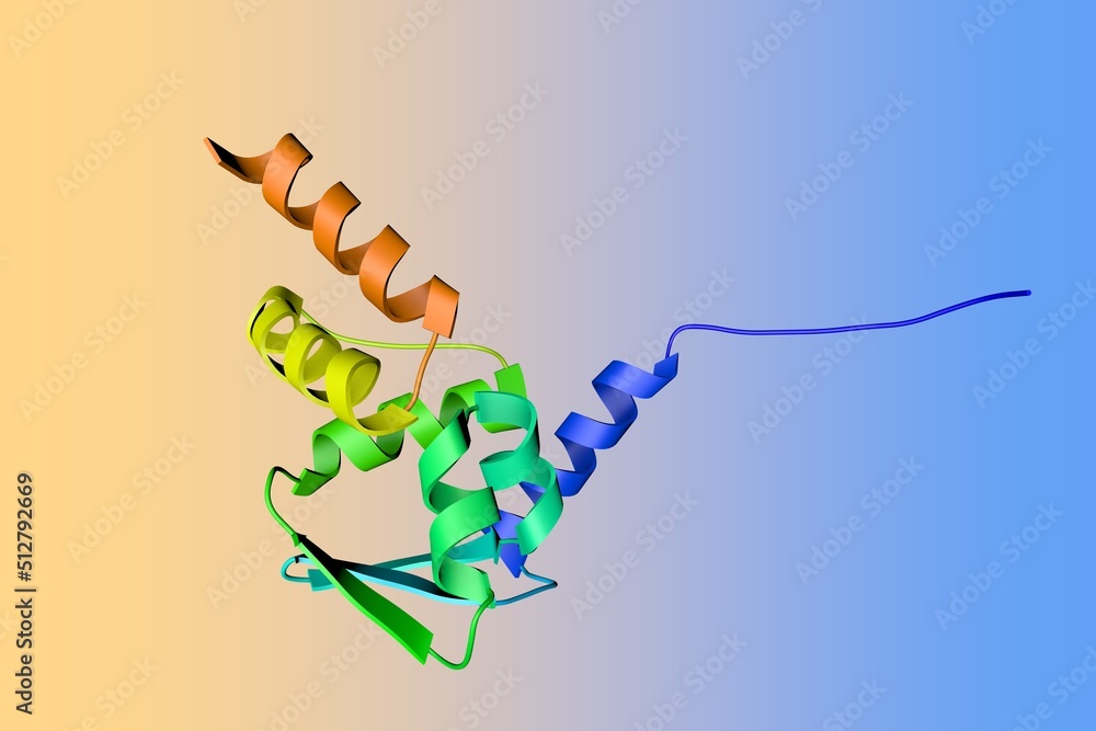 BTB domain from promyelocytic leukemia zinc finger protein. Ribbons ...