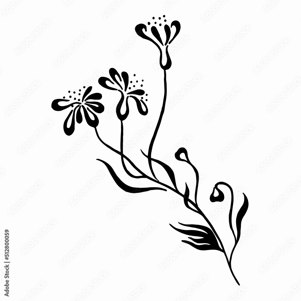 Flowers vector line drawing. Botanical sketches.Vector illustration ...