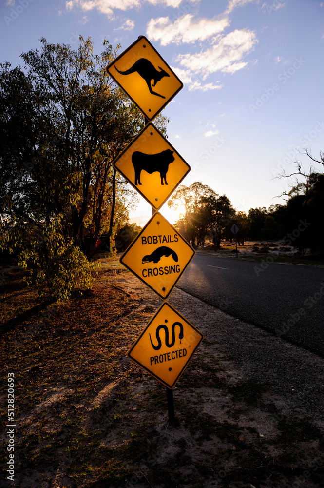 Road sign in Australia warning of Kangaroos, cattle, bobtail lizards ...