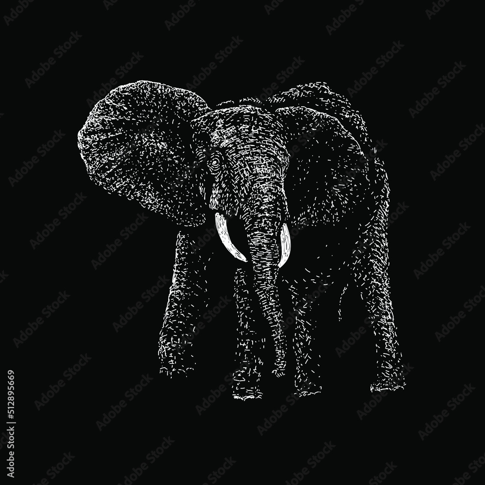 African Forest Elephant hand drawing vector illustration isolated on ...