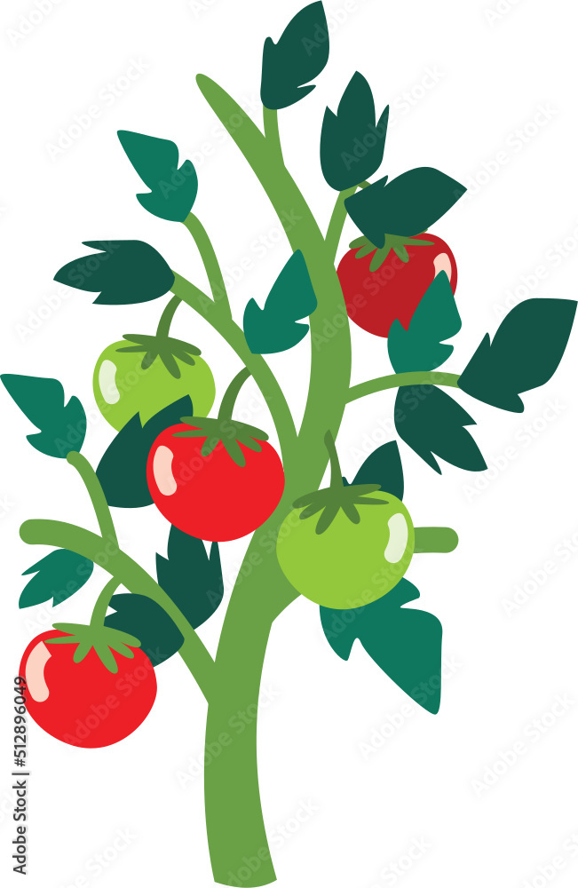 Tomato Tree Clipart