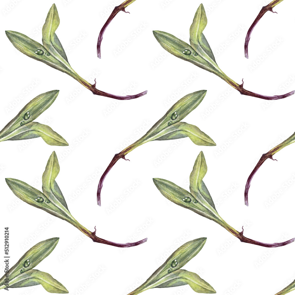 Seamless pattern watercolor wild garlic for salad on white background ...