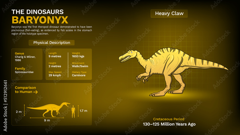 Description and Physical Characteristics of Baryonyx - Vector ...