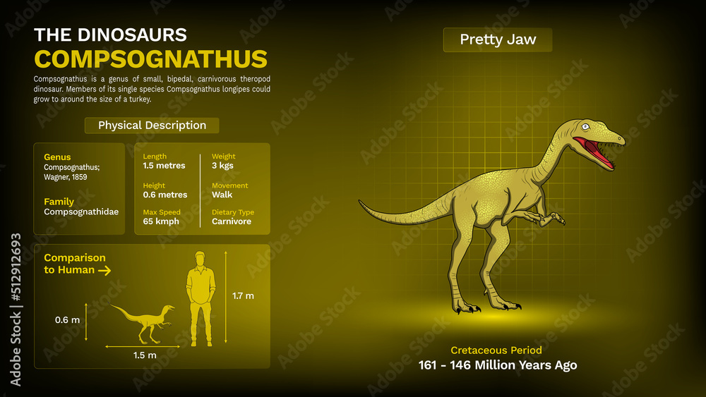 Description and Physical Characteristics of Compsognathus - Vector ...
