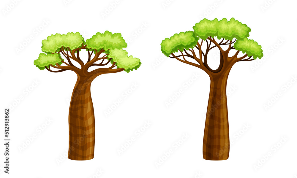 African baobab trees. Powerful tree with green leaves cartoon vector ...