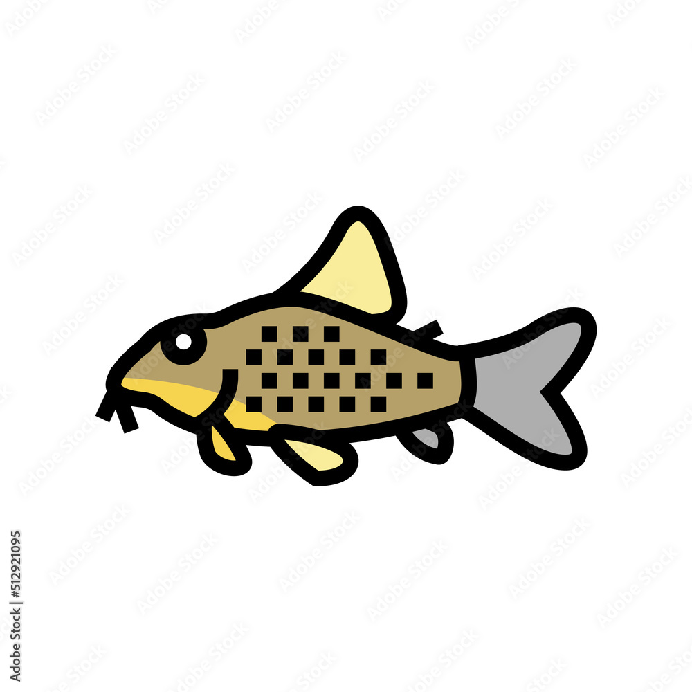 cory catfish color icon vector. cory catfish sign. isolated symbol ...