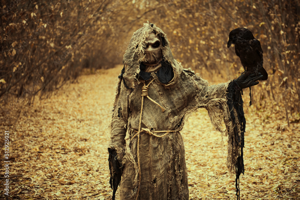 scarecrow with a black raven Stock Photo | Adobe Stock