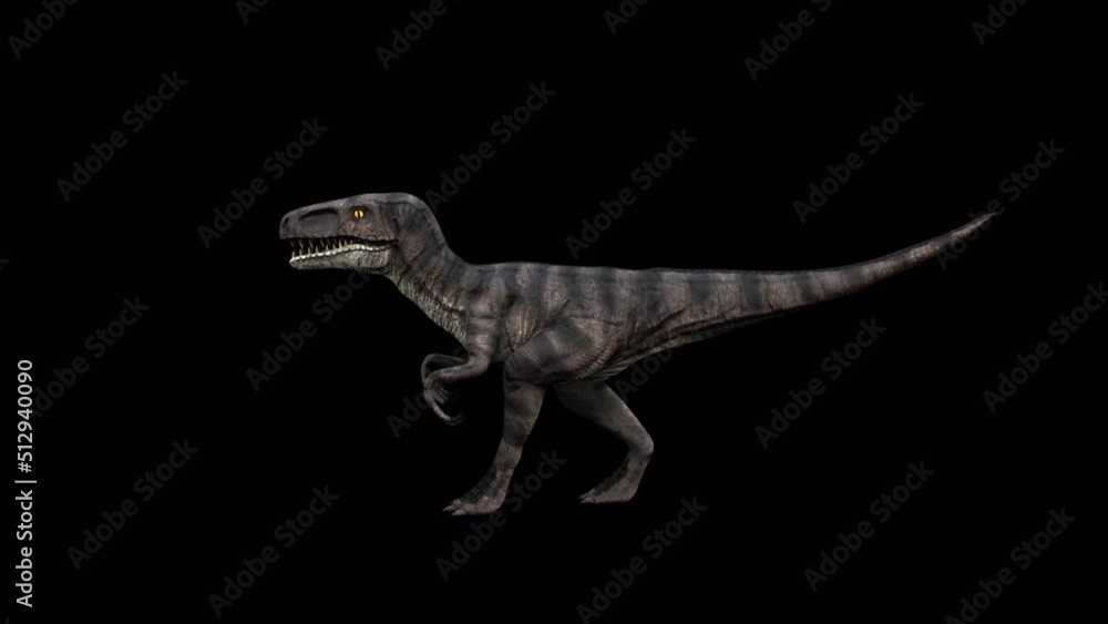 4K Velociraptor Walk animation.3840×2160.7 Second Long.Transparent ...