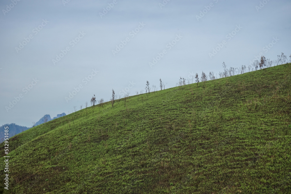 Nature green background wallpaper. Spring rural landscape Stock Photo ...